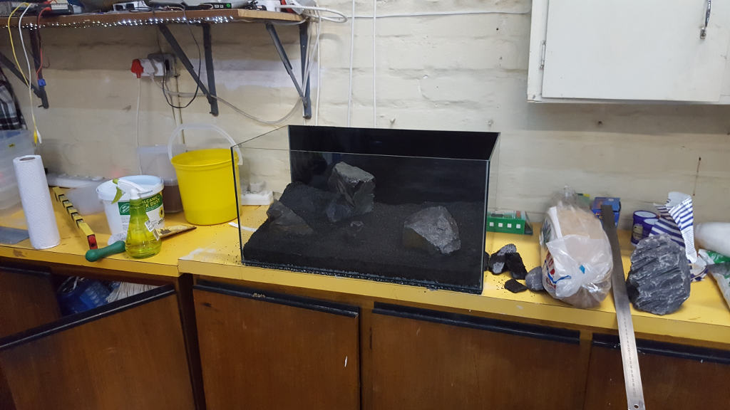 Foo's DIY garage tank | APSA